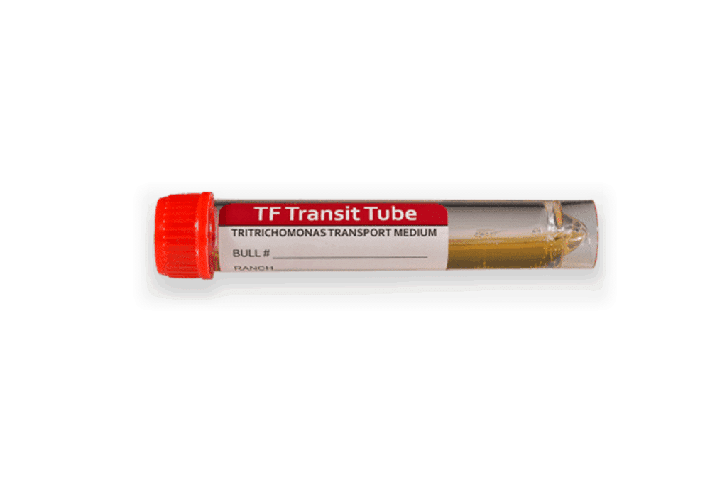 TF Transit Tube - Biomed Diagnostics